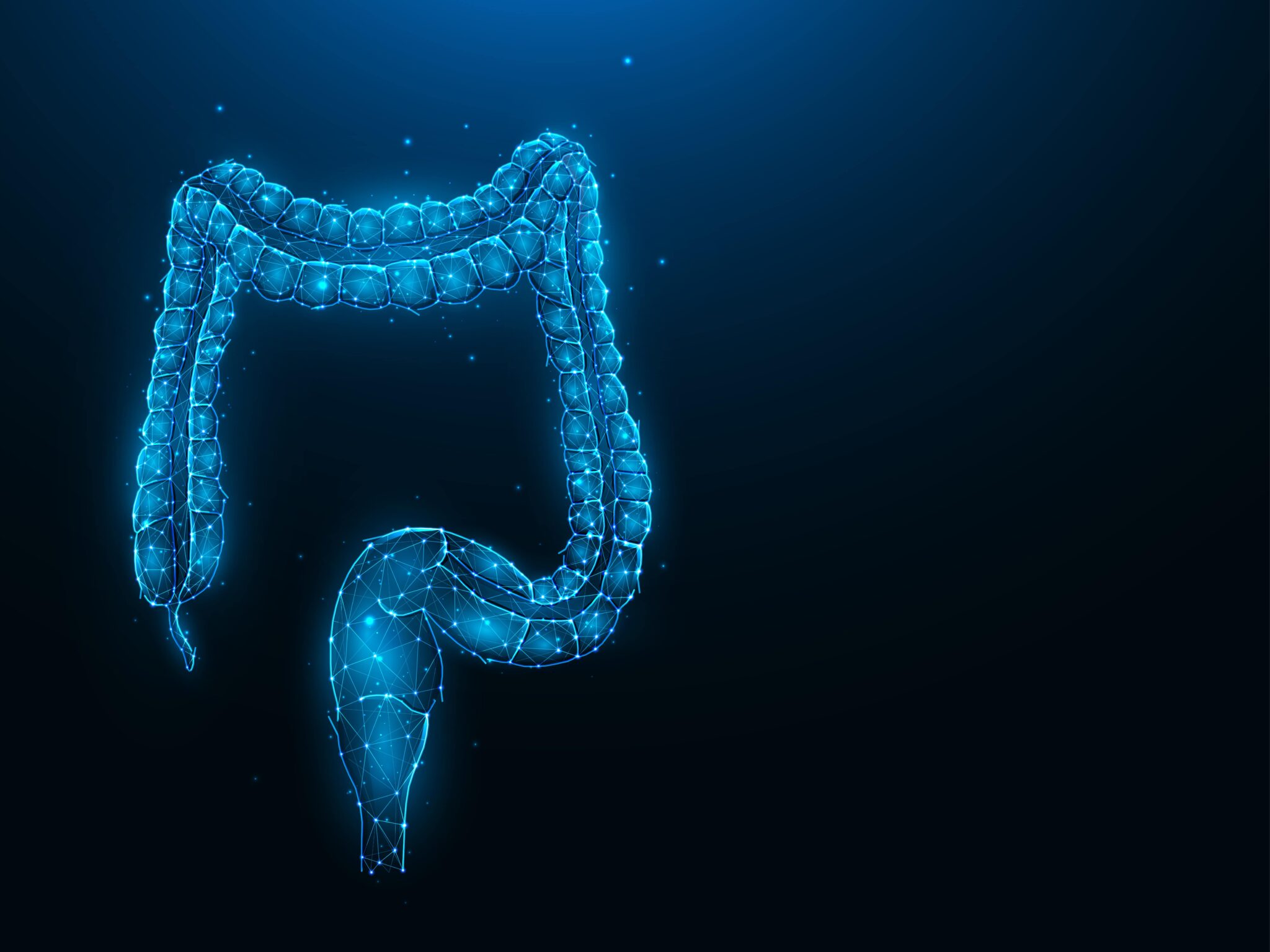 Tout savoir sur le système digestif