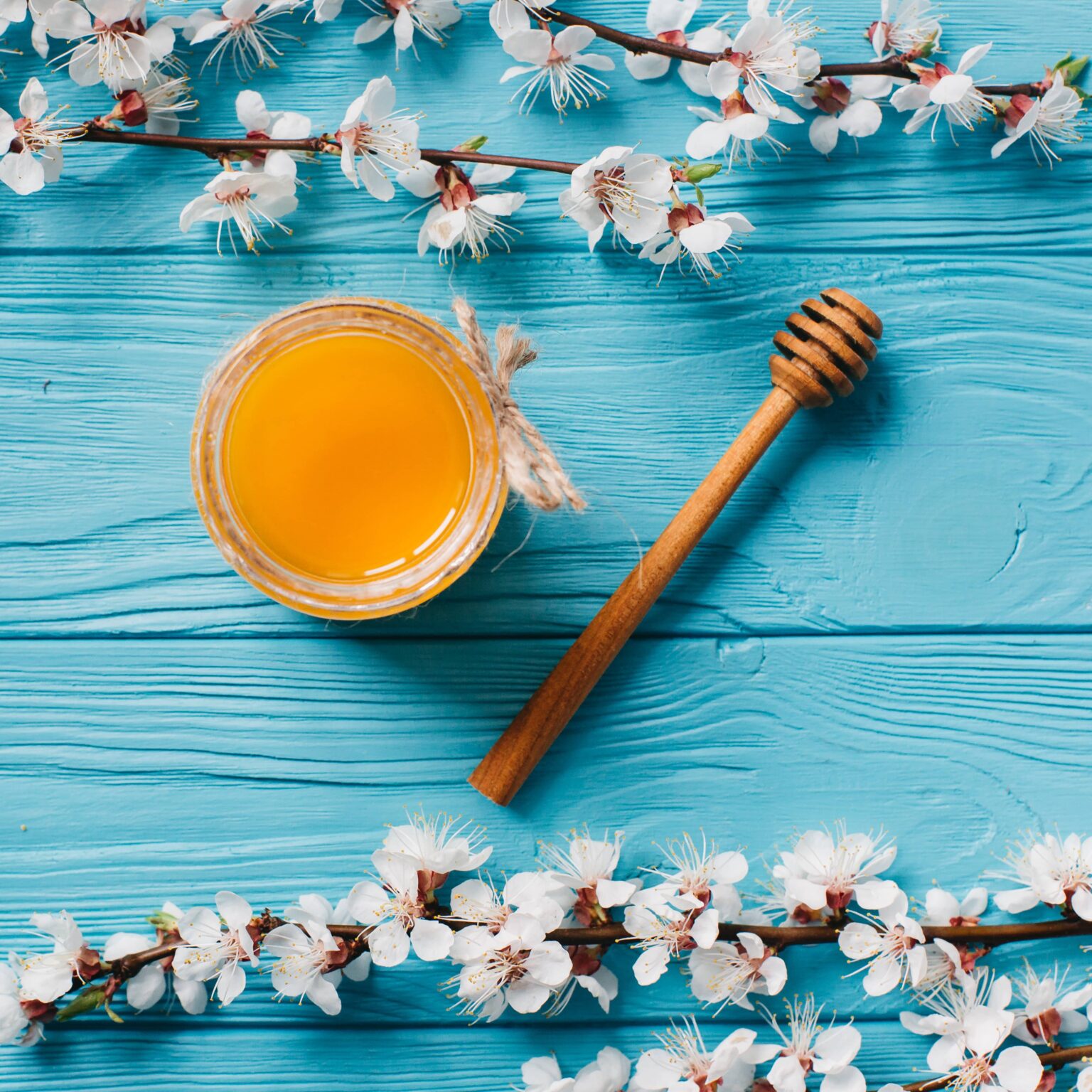 Le ver solitaire : explications, transmission et remèdes