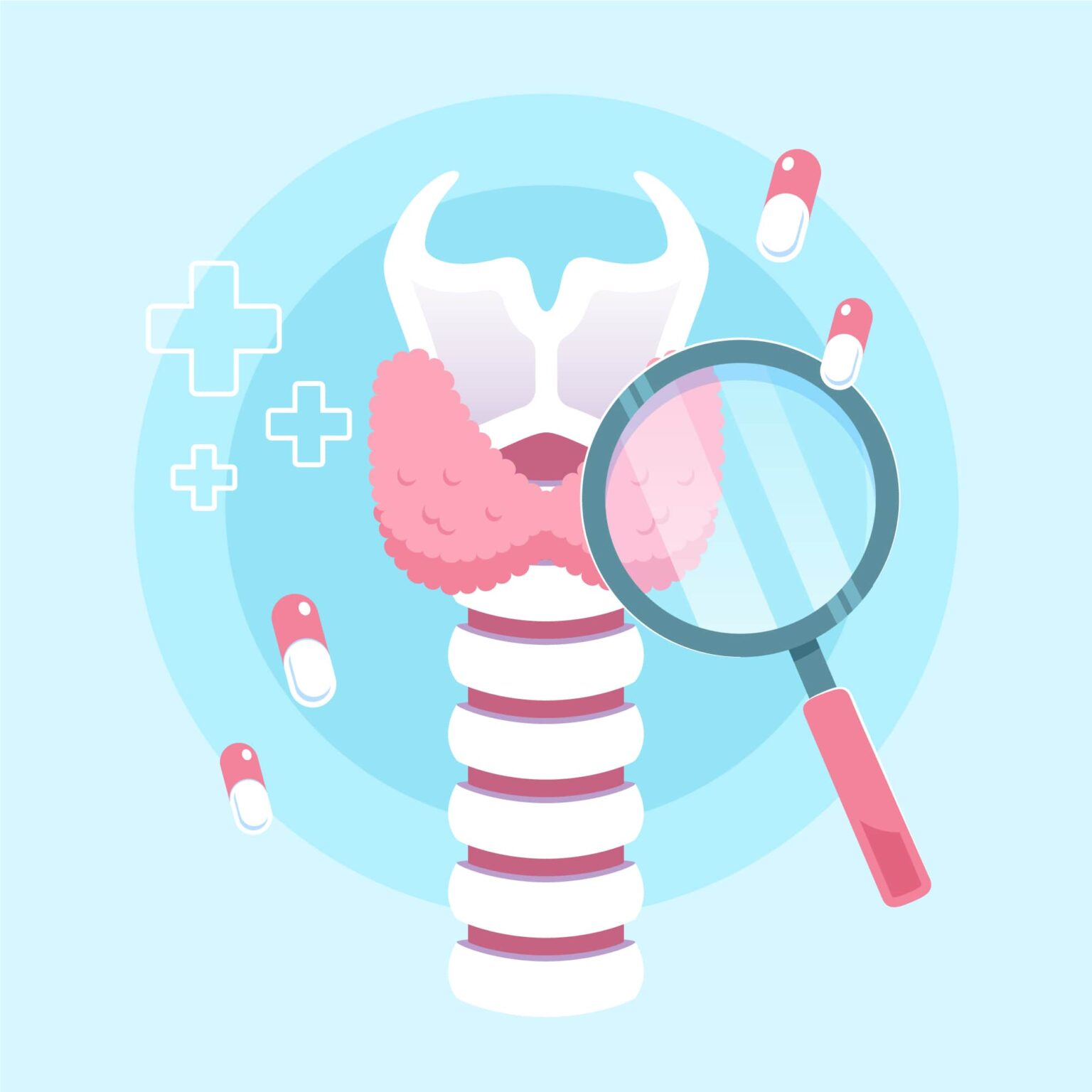 L'œsophage : rôle, complications et comment en prendre soin