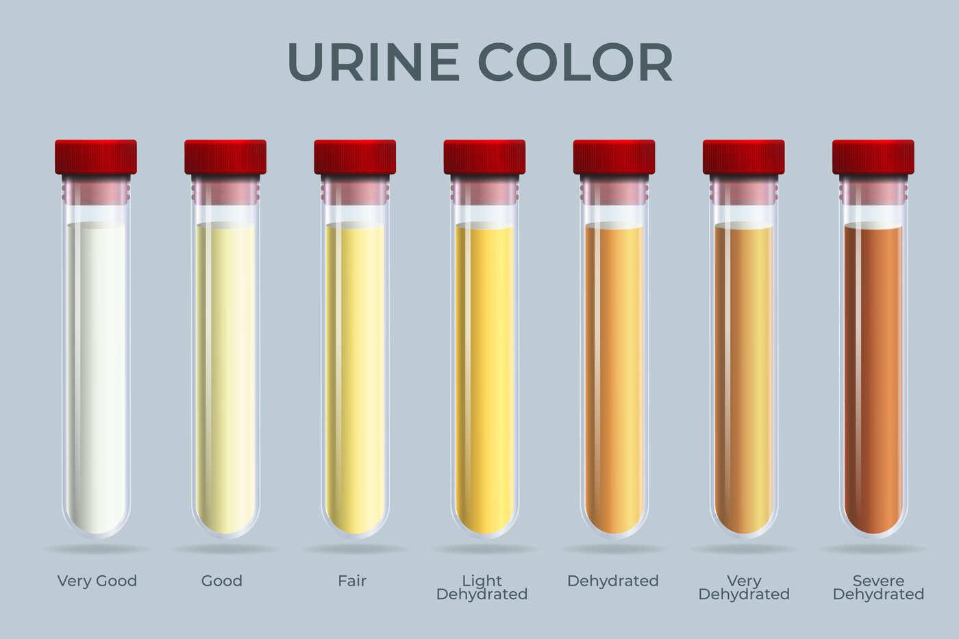 Urine qui sent fort : toutes nos explications