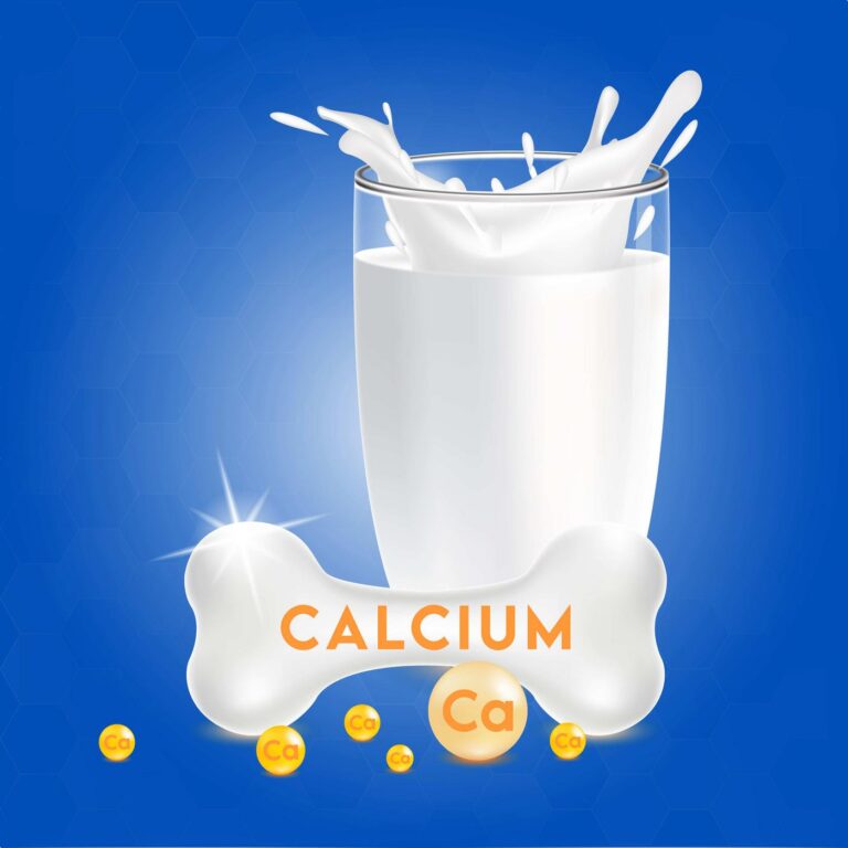 Quel est l'aliment le plus riche en calcium ? Top 20