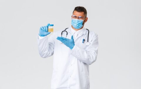 Protéinurie : Guide sur les Causes, le Diagnostic et le Traitement