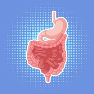 La Stéatorrhée : causes, symptômes et traitement